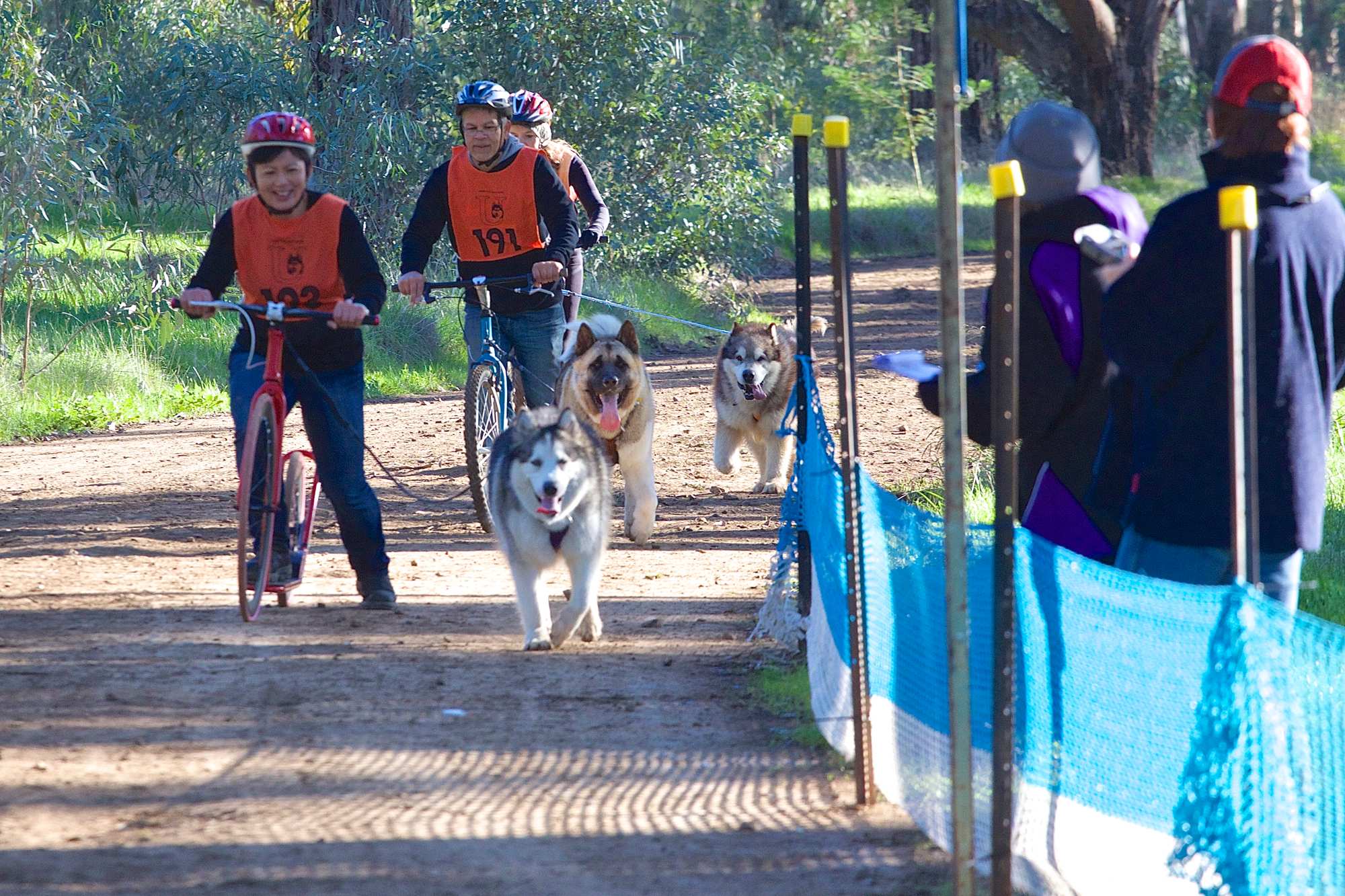 Run, dog, run! - ABC listen
