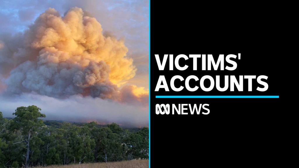 Adelaide Hills bushfire victims face convicted firebug in court - ABC News