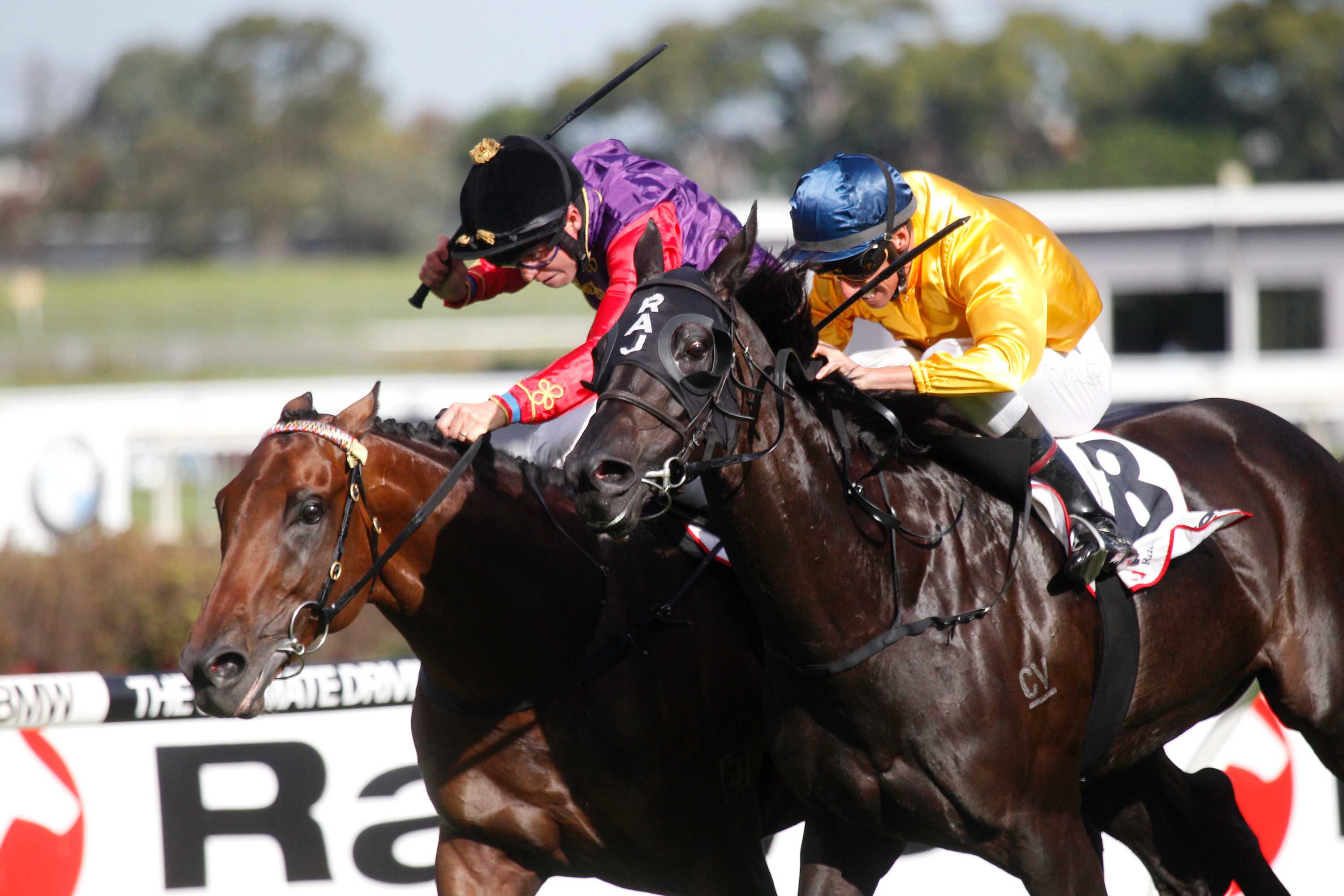 Silent Achiever upsets favourites Fiorente and It's A Dundeel in Ranvet ...