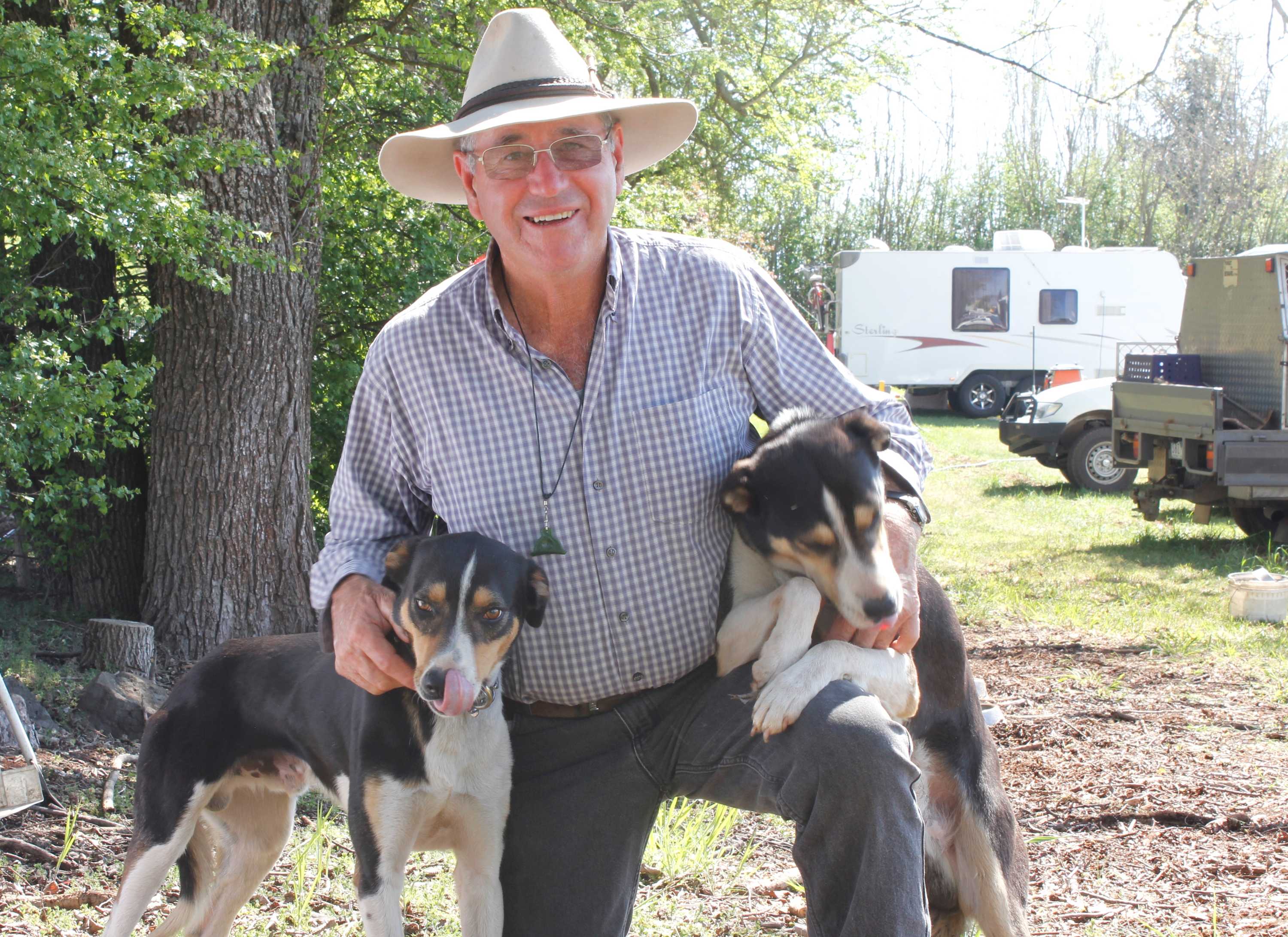 All bark and no bite: sheep dogs from across country gather to compete ...