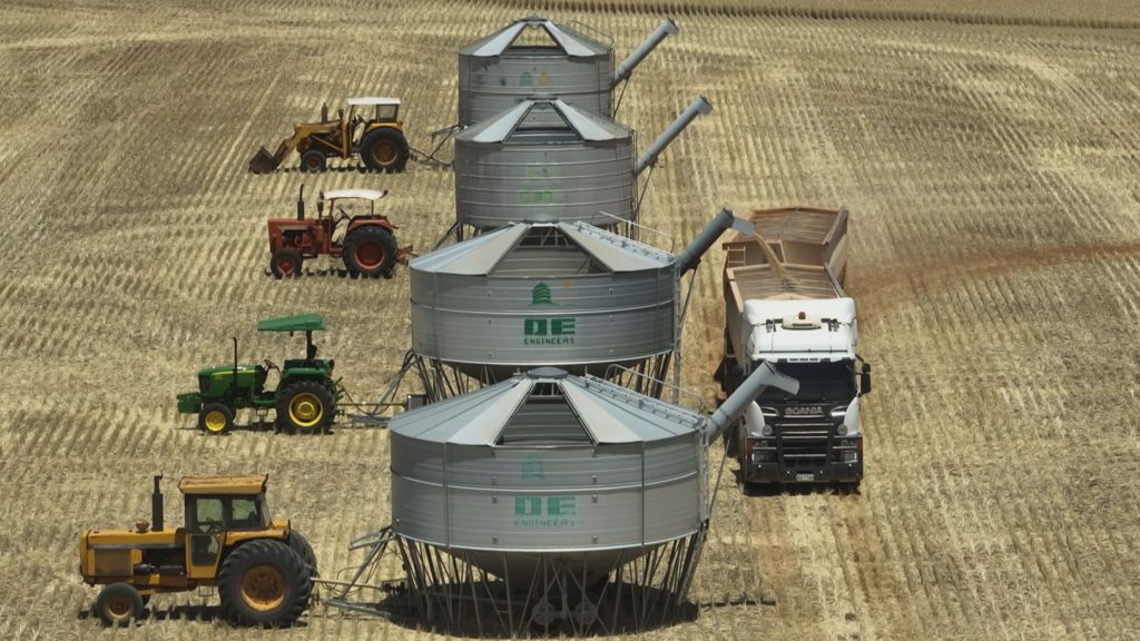 WA's bumper grain harvest expected to boost economy by $10b, farmer ...