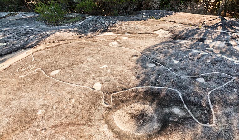 Eora Nation 62 Aboriginal heritage in Royal National Park - ABC Sydney