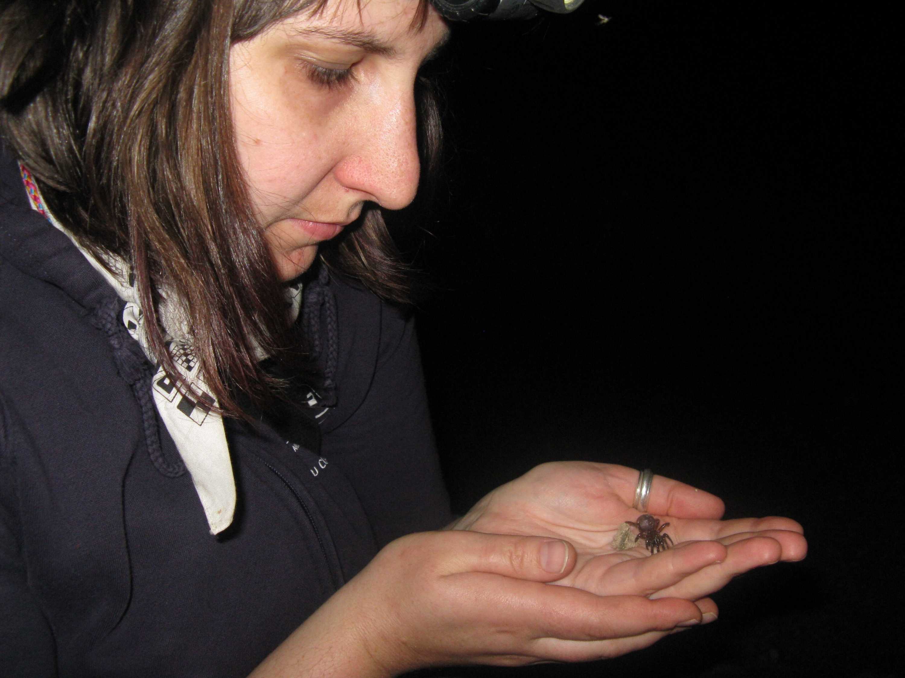 Growing to like spiders - ABC Radio National