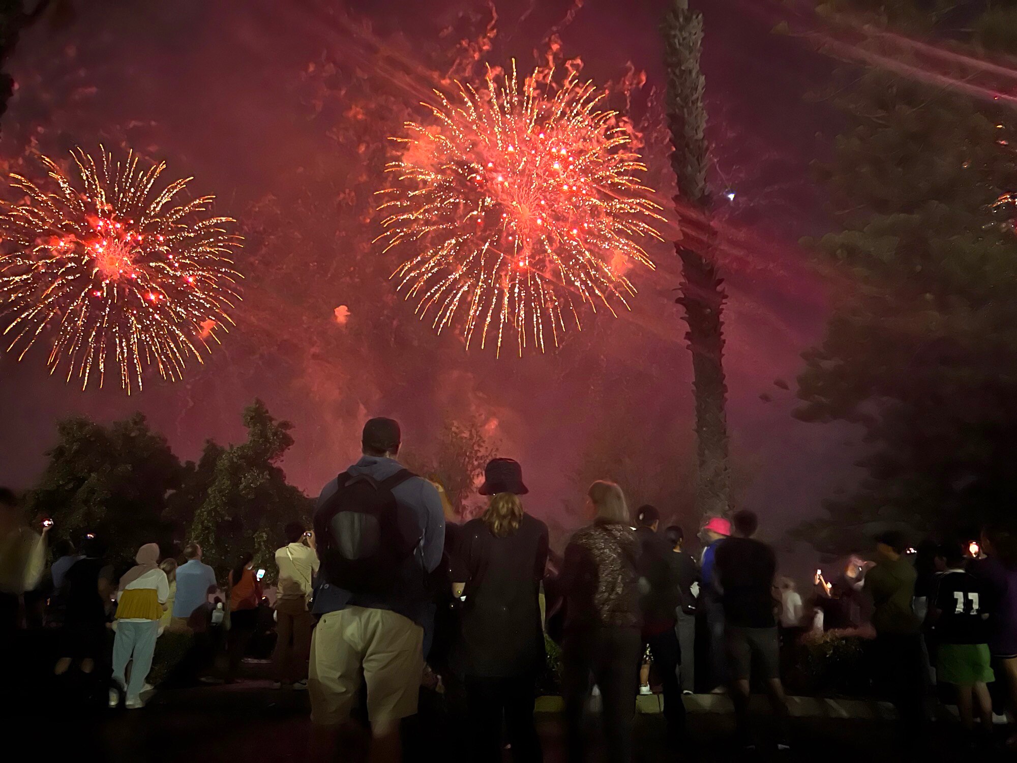 Australia Day comes to violent end as Perth riots see police pelted ...