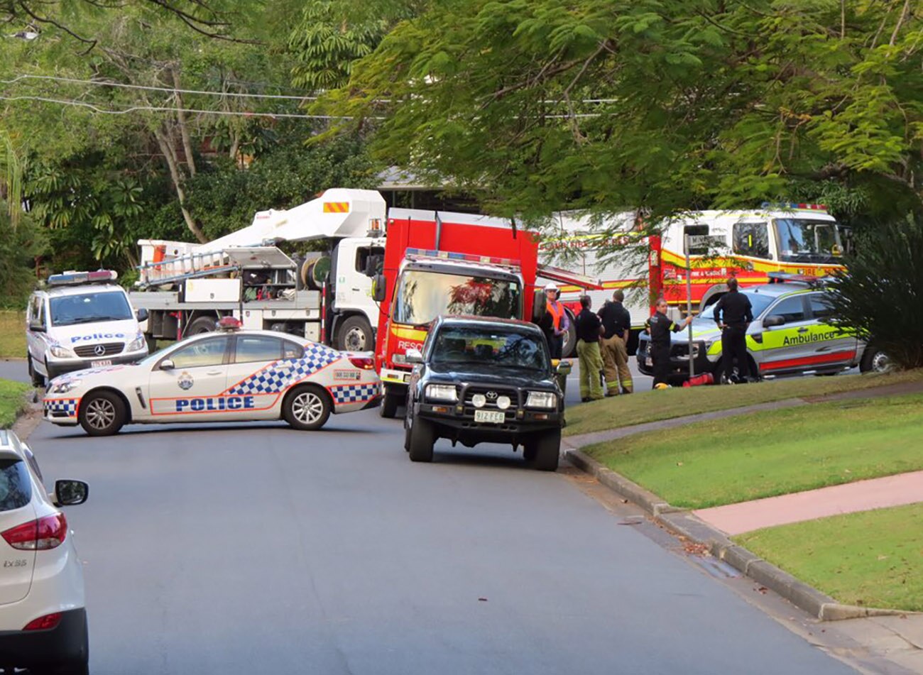 Man electrocuted while lopping trees in Brisbane - ABC News