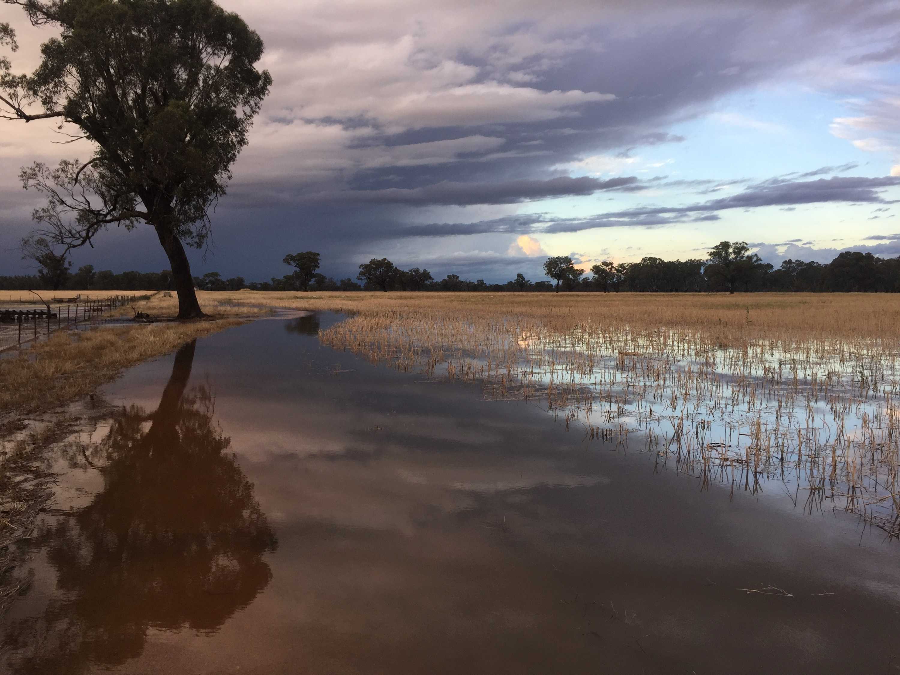 VIC Country Hour - ABC listen