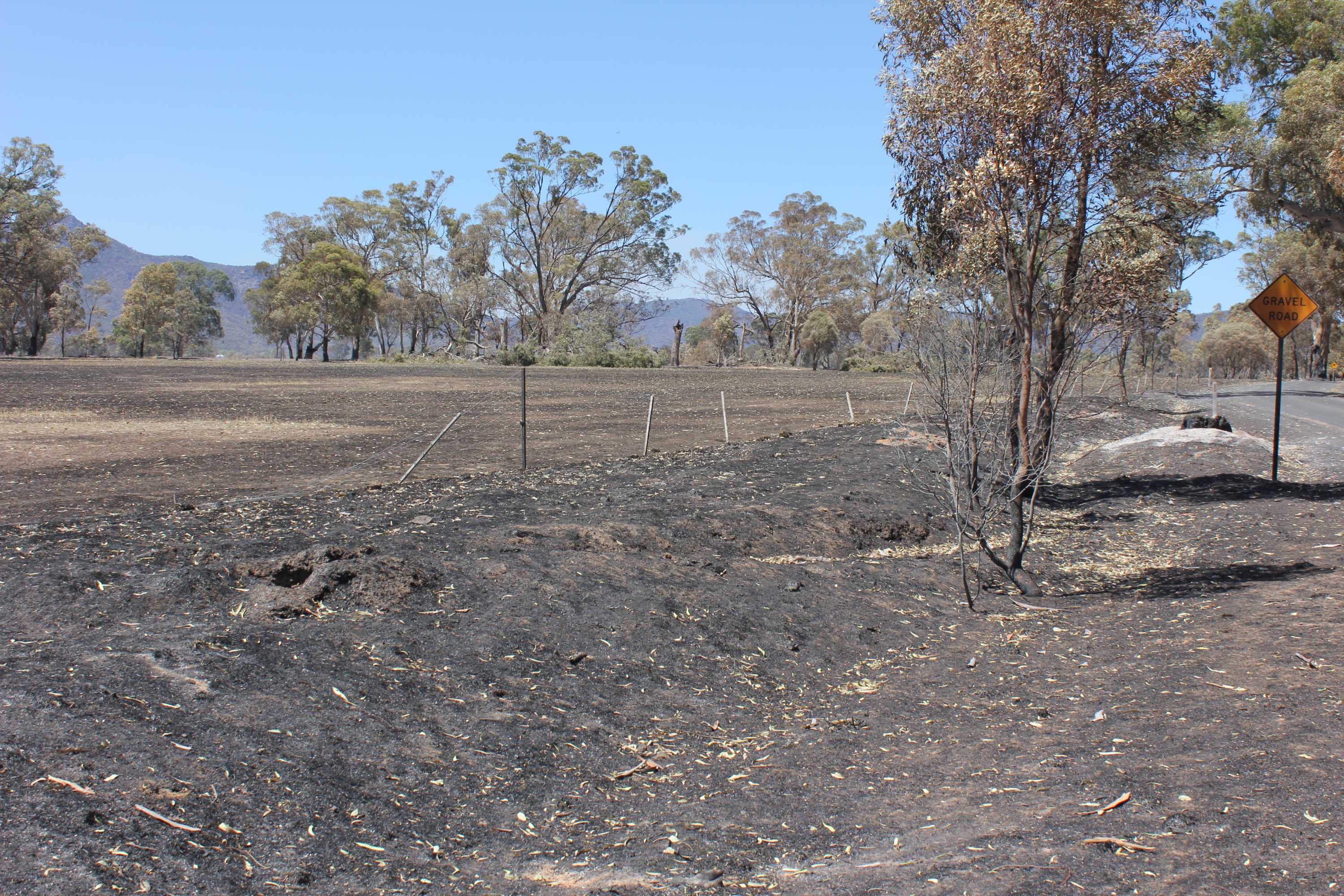 Work continues on fire-affected farms - ABC News