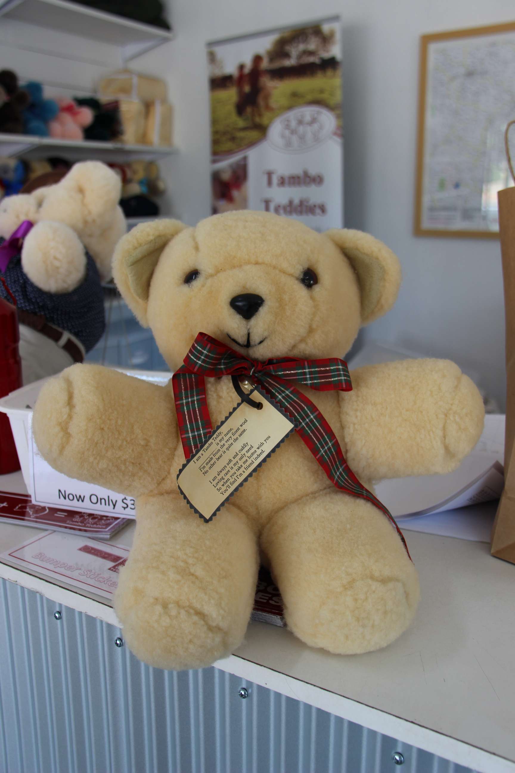 Outback business Tambo Teddies started by local women has sights set on ...