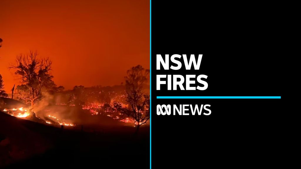 Heatwave conditions in NSW triggers extreme fire danger warning - ABC News