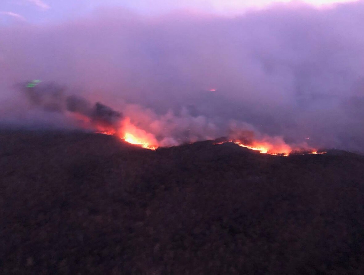 Team Rubicon veteran volunteers lend skills to Busby Fire Flat bushfire ...