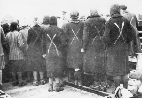 Ravensbrück: Hitler's all-female World War II concentration camp - ABC News