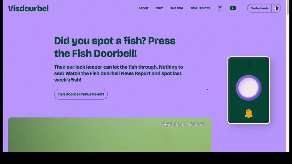 Online fish doorbell draws millions of fans to help fish through river ...