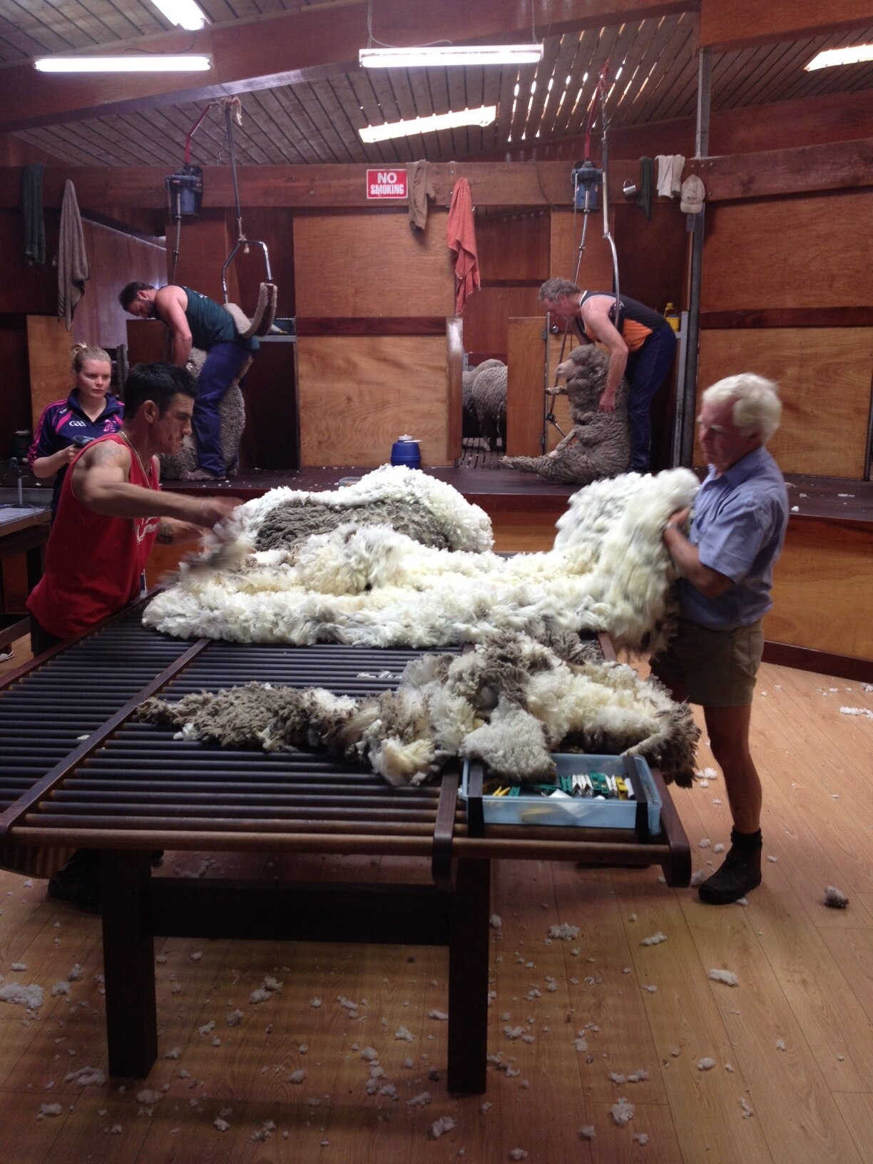 Promoting wool in China in 2015, the Year of the Sheep - ABC News