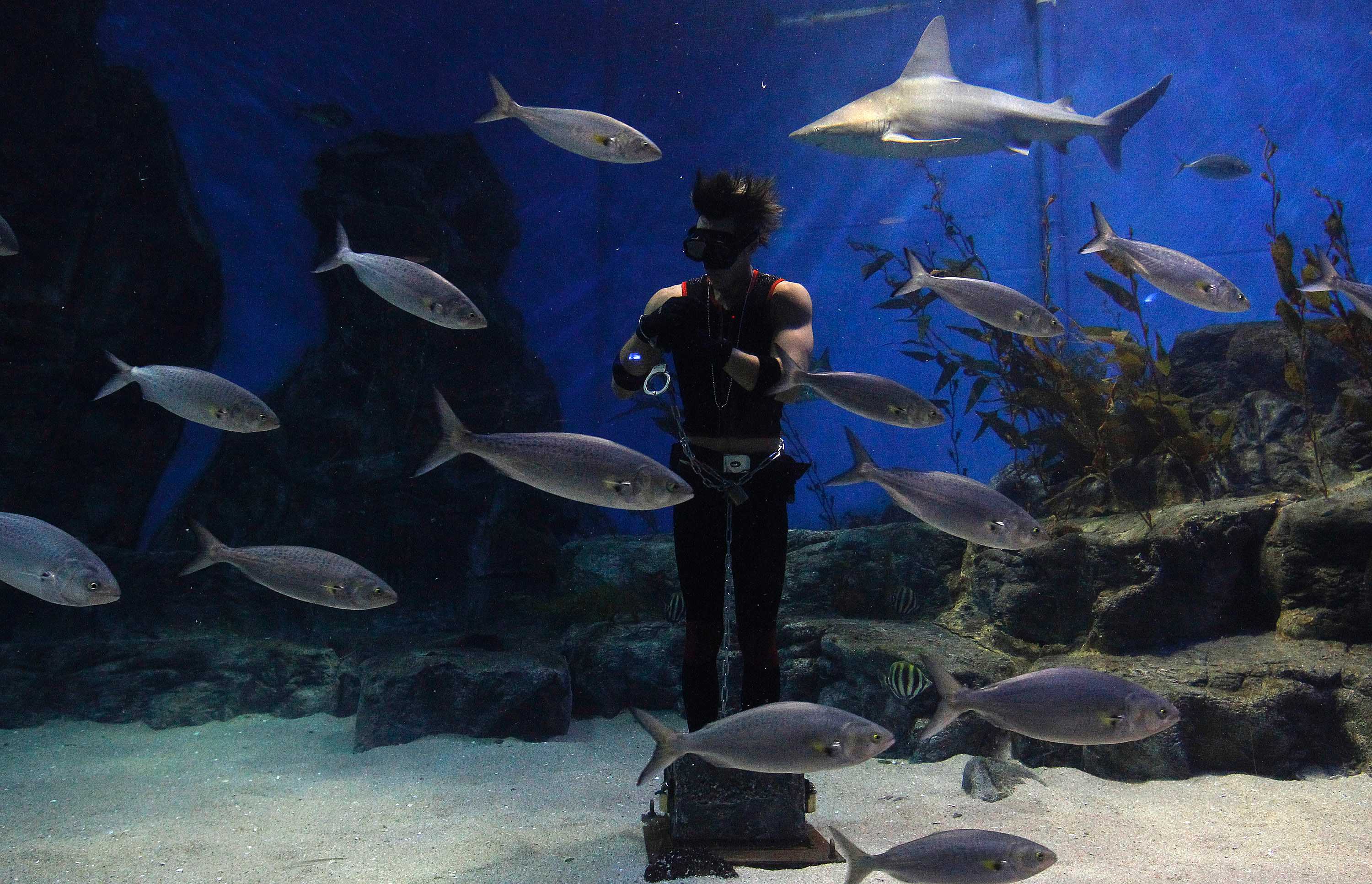Cosentino: Illusionist and escape artist says failing to fulfil ...