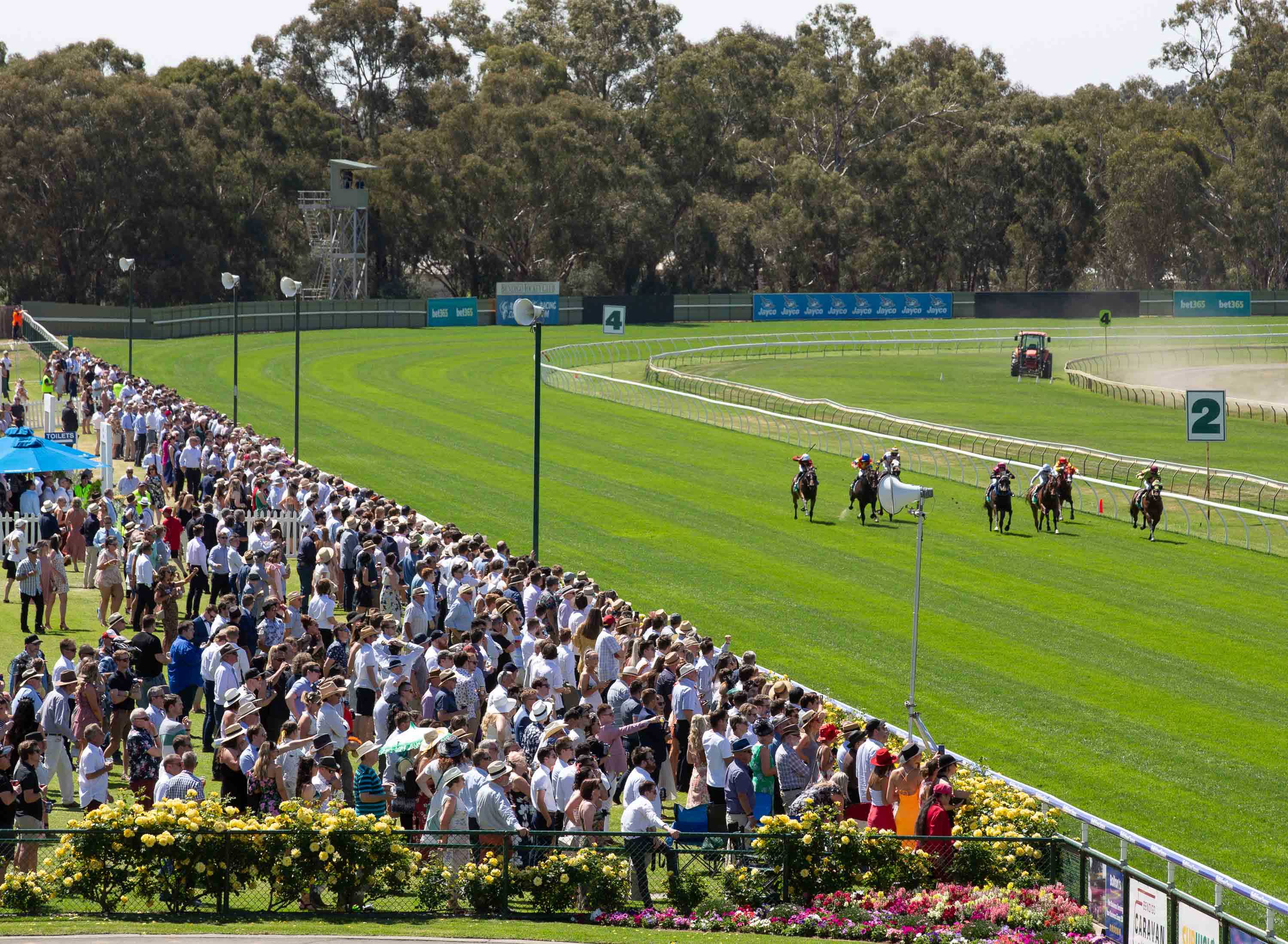Bendigo Cup one of the last chances to secure Melbourne Cup berth - ABC ...