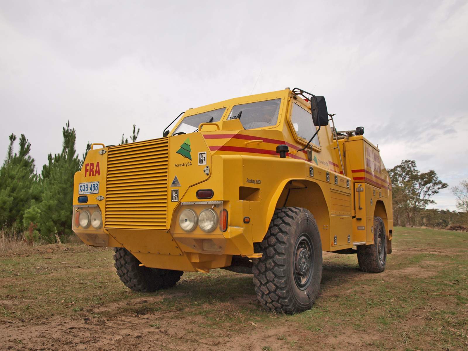 Council airs fire fears for forestry plantations - ABC News