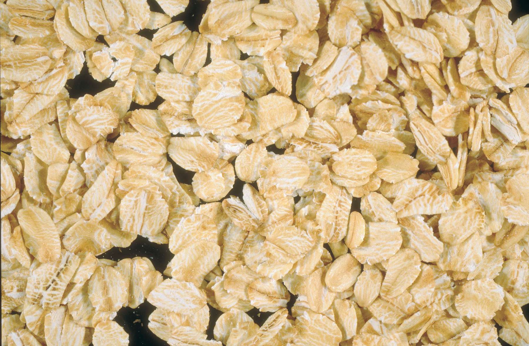 New oat segregation for WA growers - ABC News