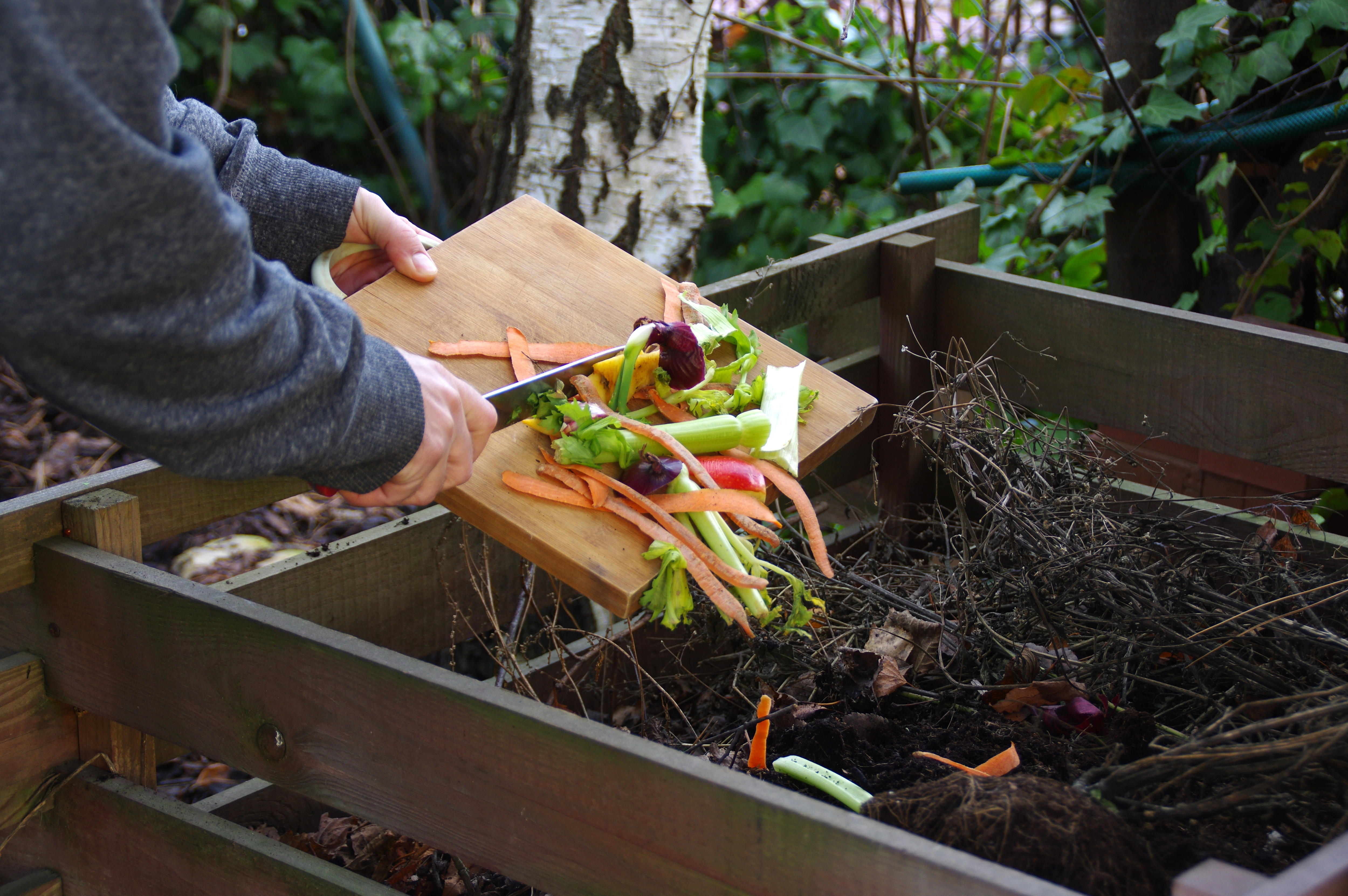 Everything you need to know to maintain a healthy, balanced compost ...