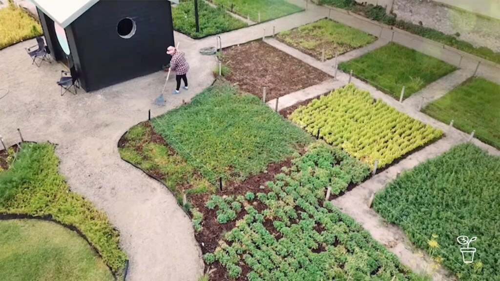 Nuts About Nuts - Gardening Australia