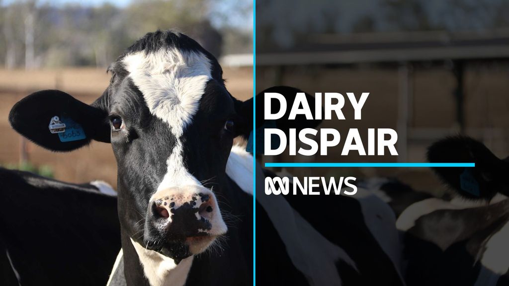 Cyclone Tracy: Nancy Fuchs recalls how a box of books saved her house ...