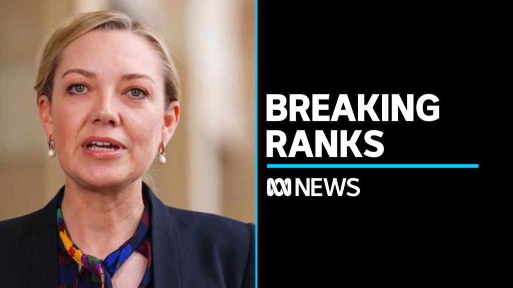 What are video game loot boxes and do they encourage gambling? - ABC News