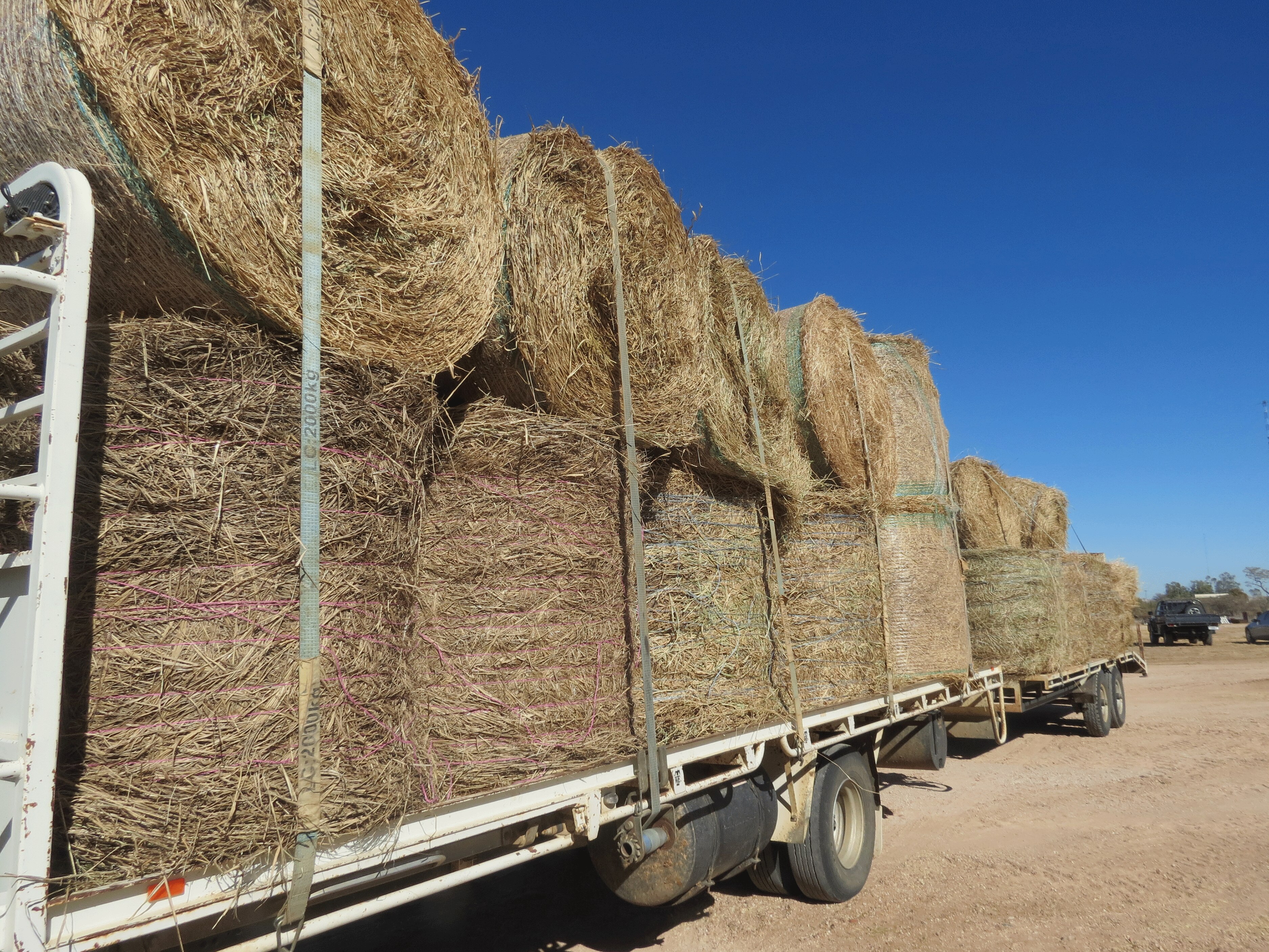 Hundreds of hay bales delivered to drought-hit farmers in western ...
