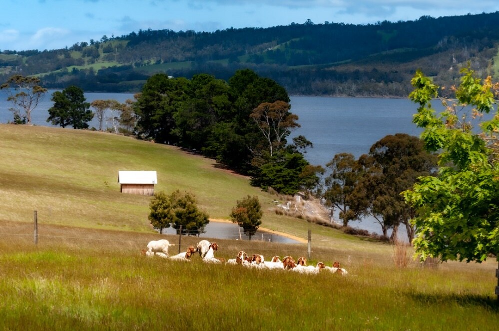 Tasmanian Country Hour - ABC listen