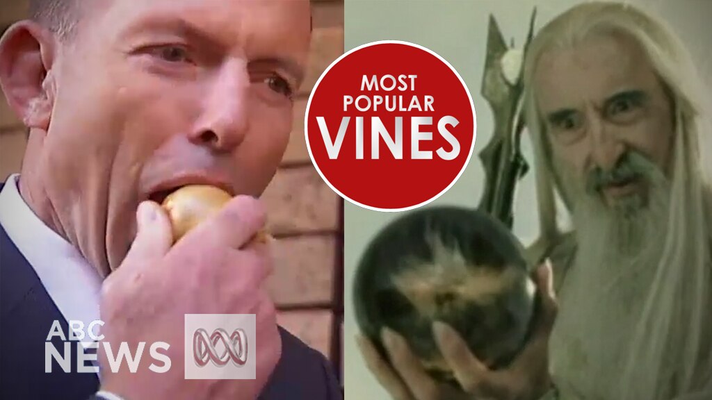 Twelve of the most popular ABC News clips on Vine - ABC News