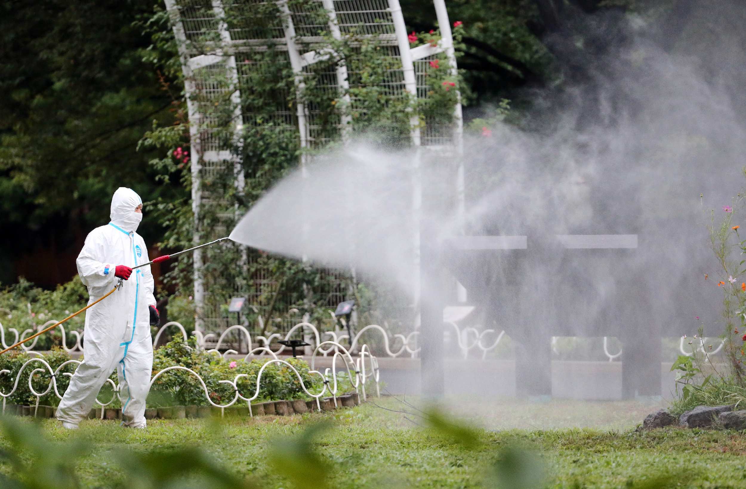 Japan hit by first dengue fever outbreak in 70 years - ABC News