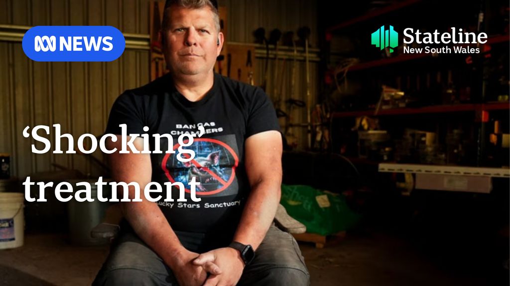 Stateline : ABC iview