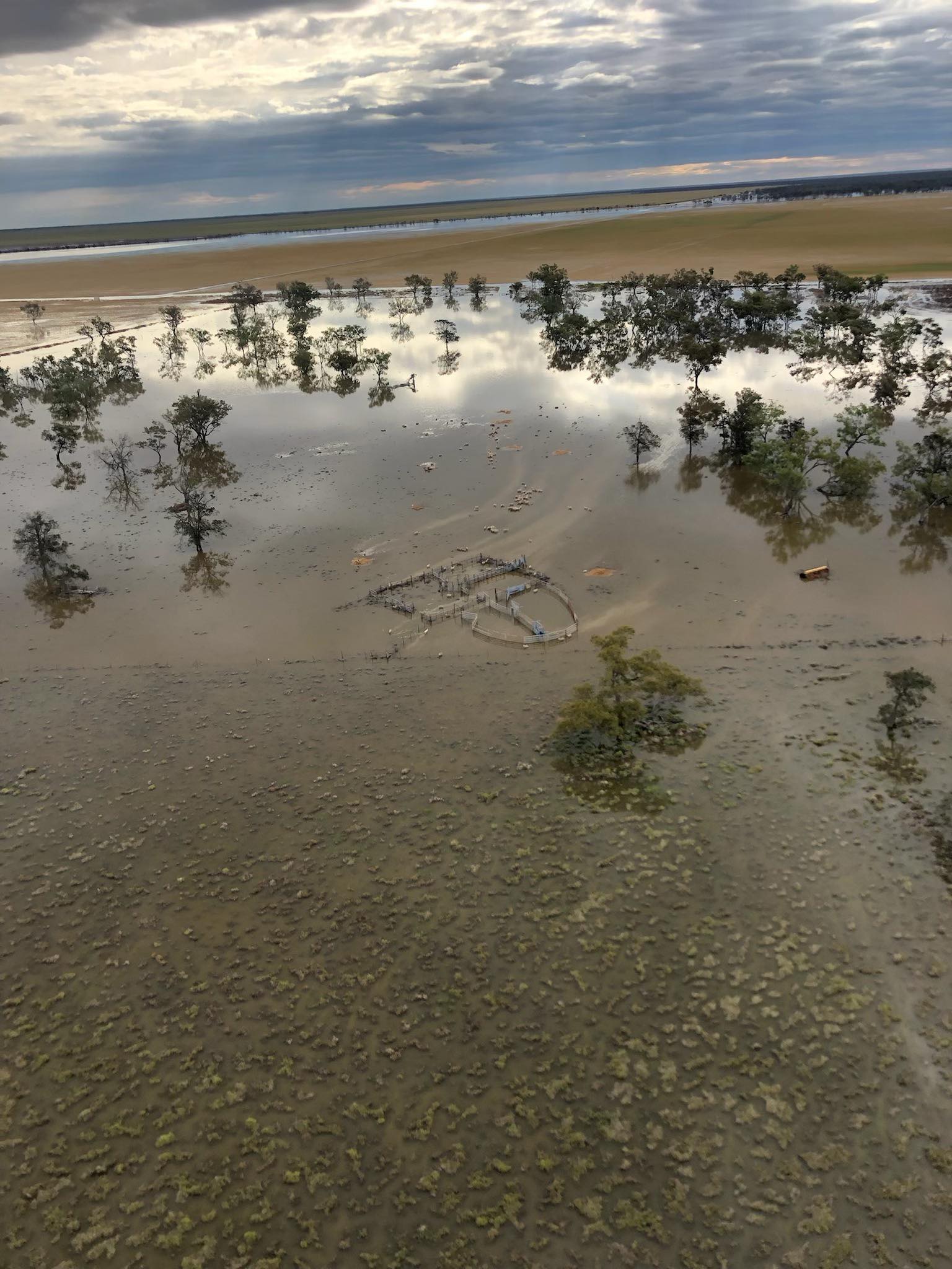 News - ABC New England North West