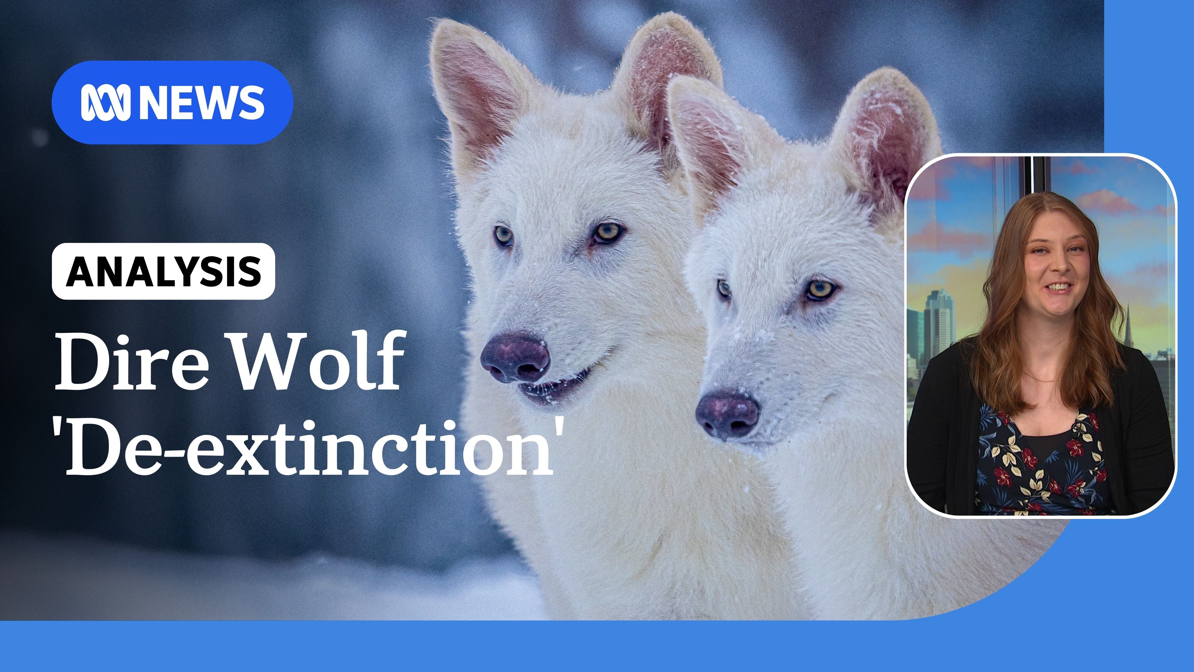 Have dire wolves really been brought back from extinction? - ABC News