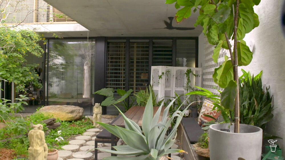 Infill Inspo - Gardening Australia