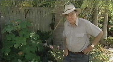 Pride of Bolivia - Gardening Australia