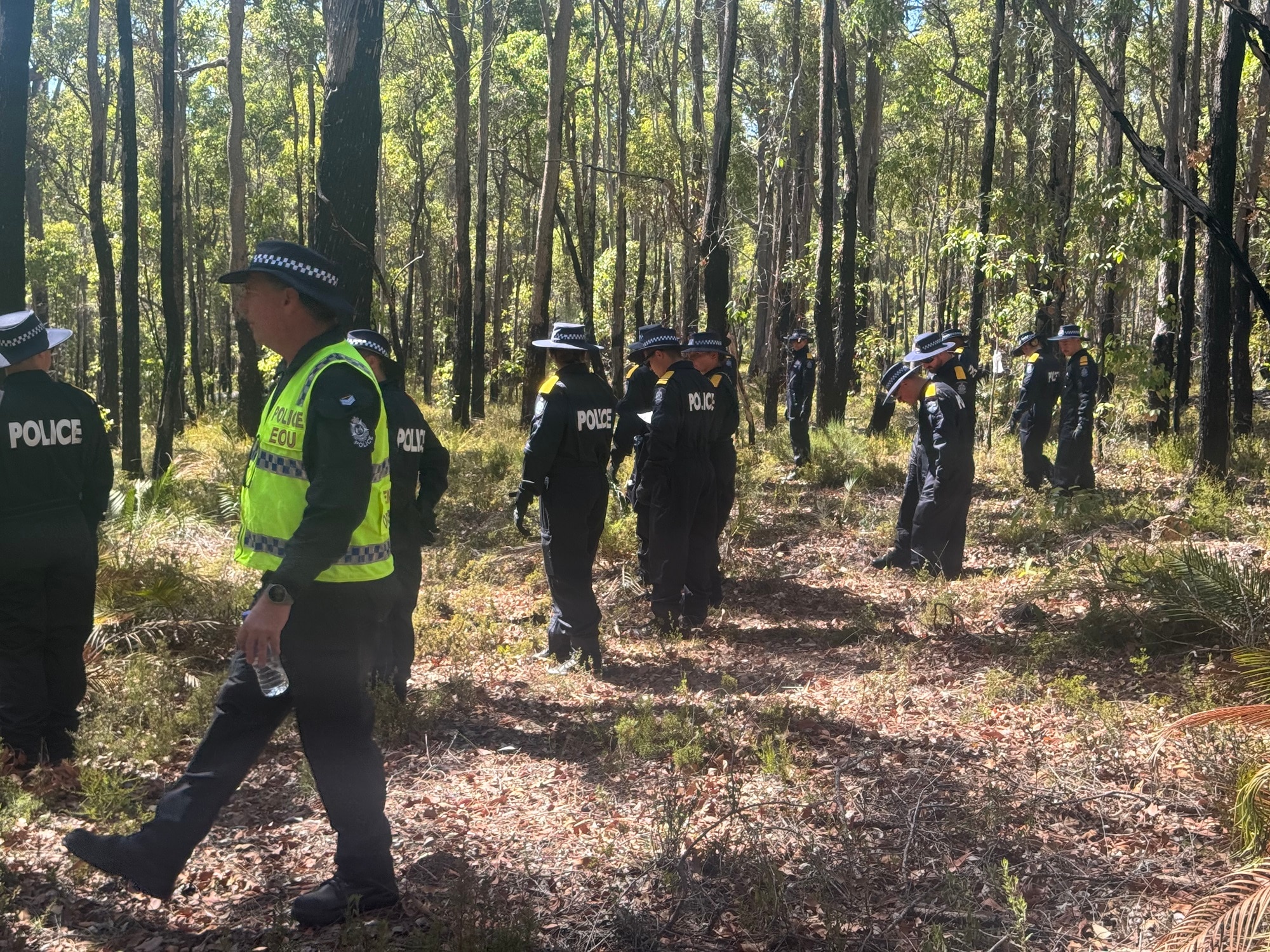 Lisa Mott mystery cold case breakthrough sees renewed focus on yellow ...