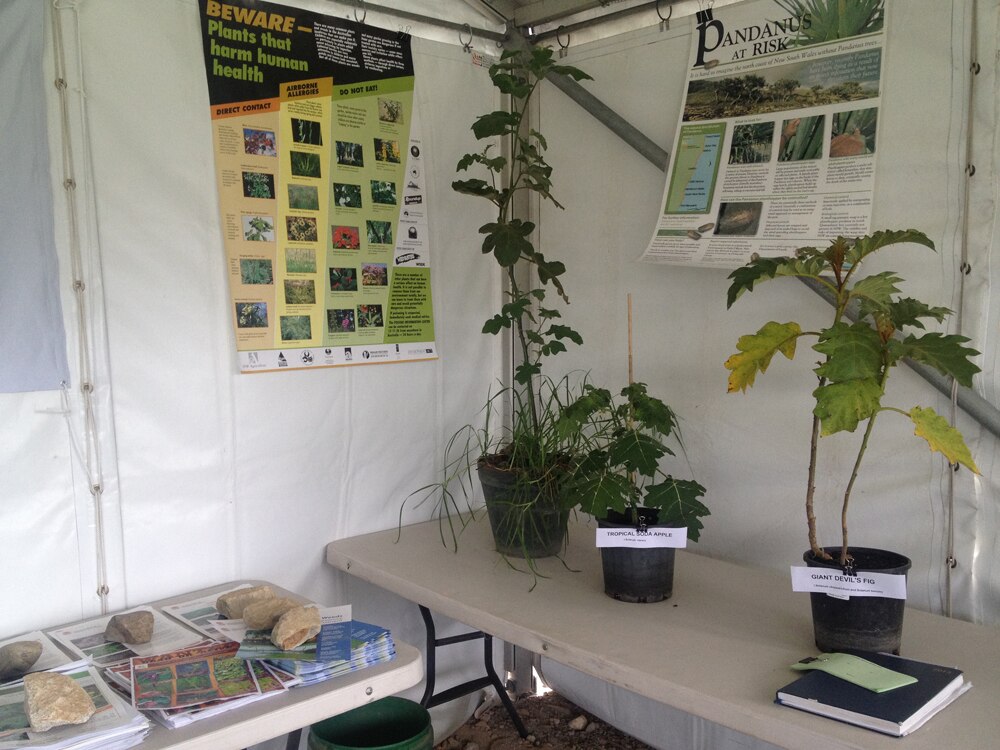 New weed discovered in NSW - ABC News