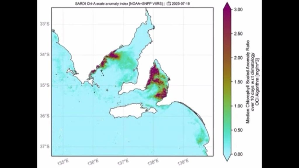 SA algal bloom timeline map - ABC News