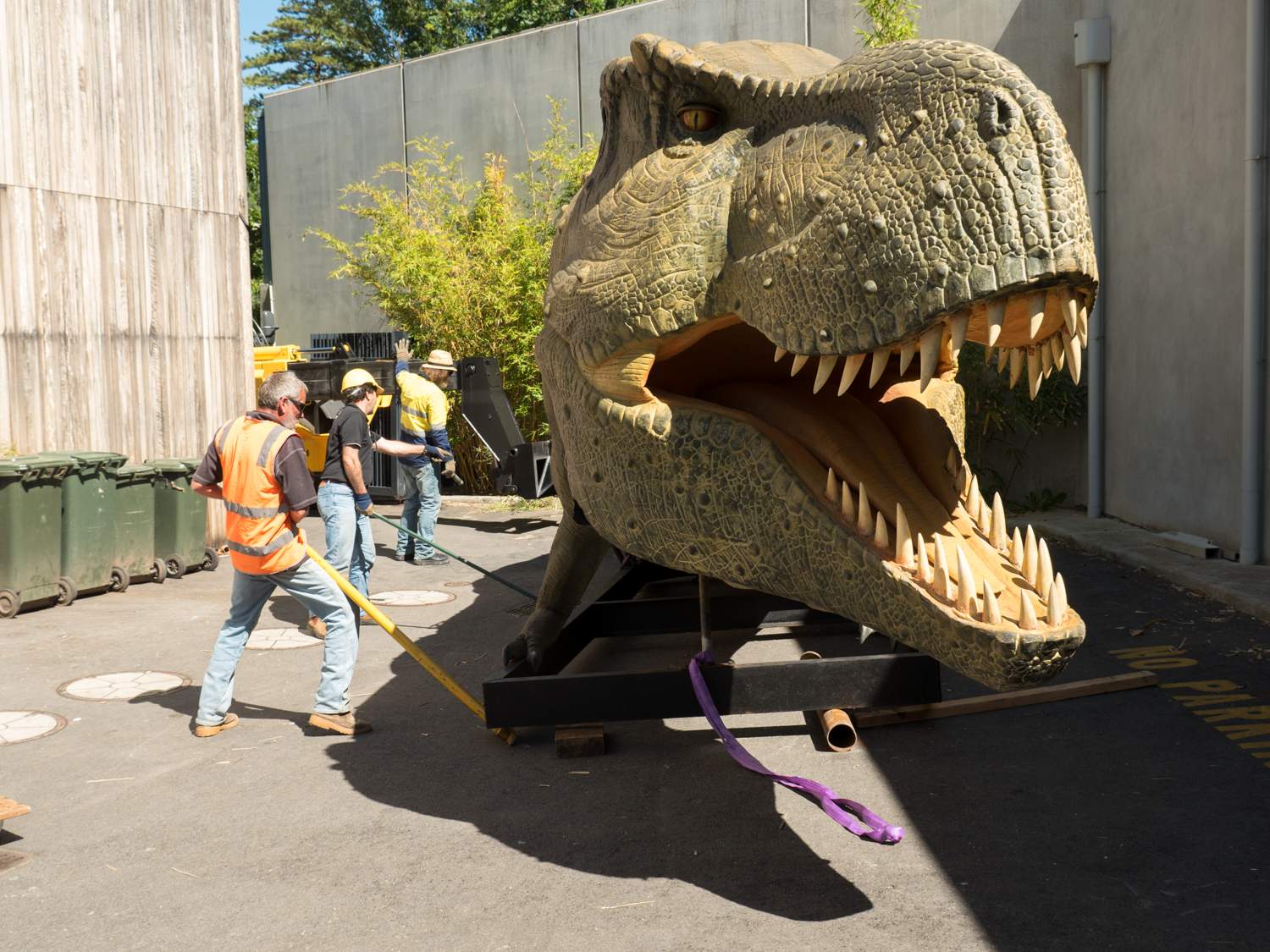Six-metre-tall T Rex invades Adelaide Zoo for school holidays - ABC News