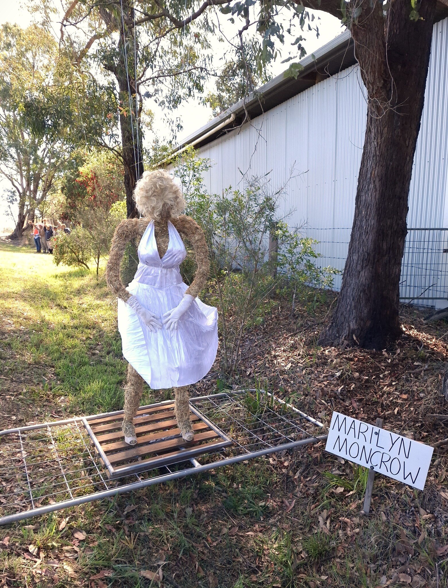 Rachel Gunn Raygun breakdancer scarecrow features at annual Wherrol ...
