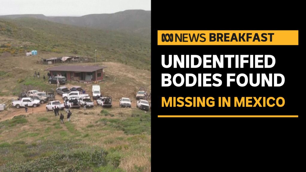 Bodies found on the Baja California coast in Mexico - ABC News