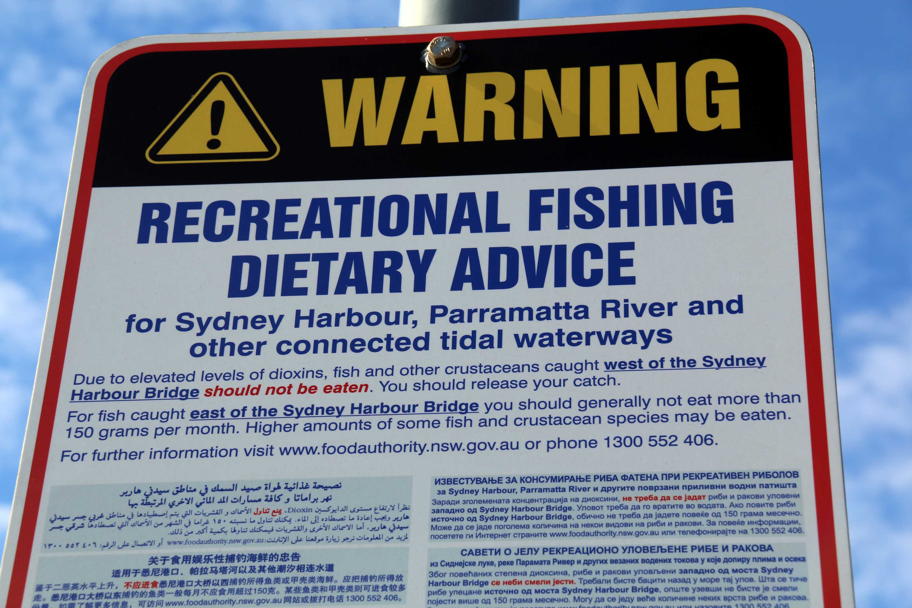Anglers ignoring Sydney Harbour health warnings, fishing hotspots ...