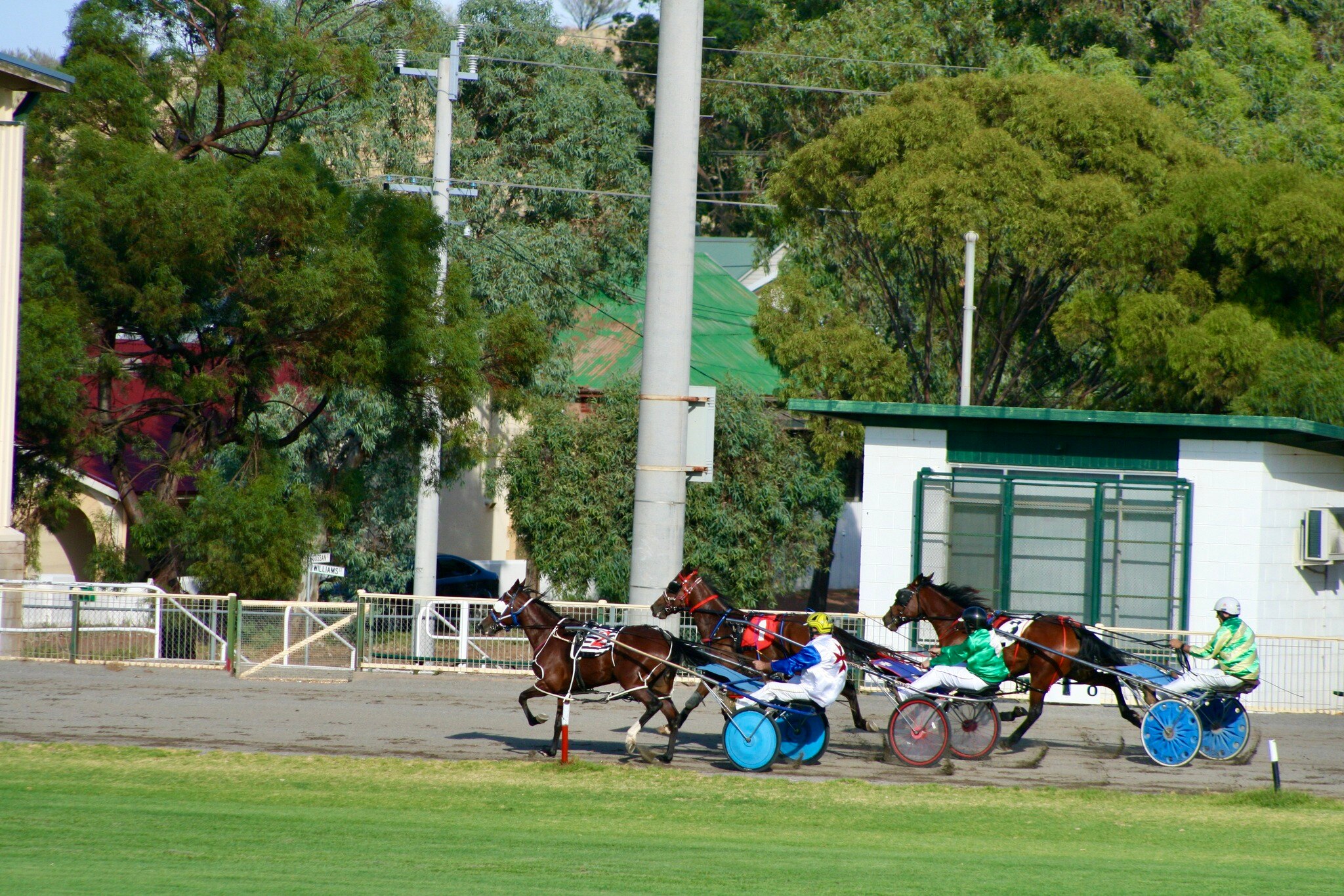Broken Hill Harness Racing officials optimistic for 2023 despite ...