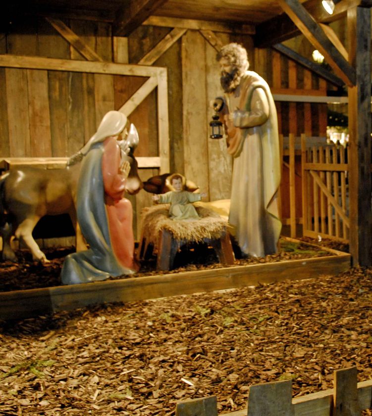 Ricky Bobby Baby Jesus