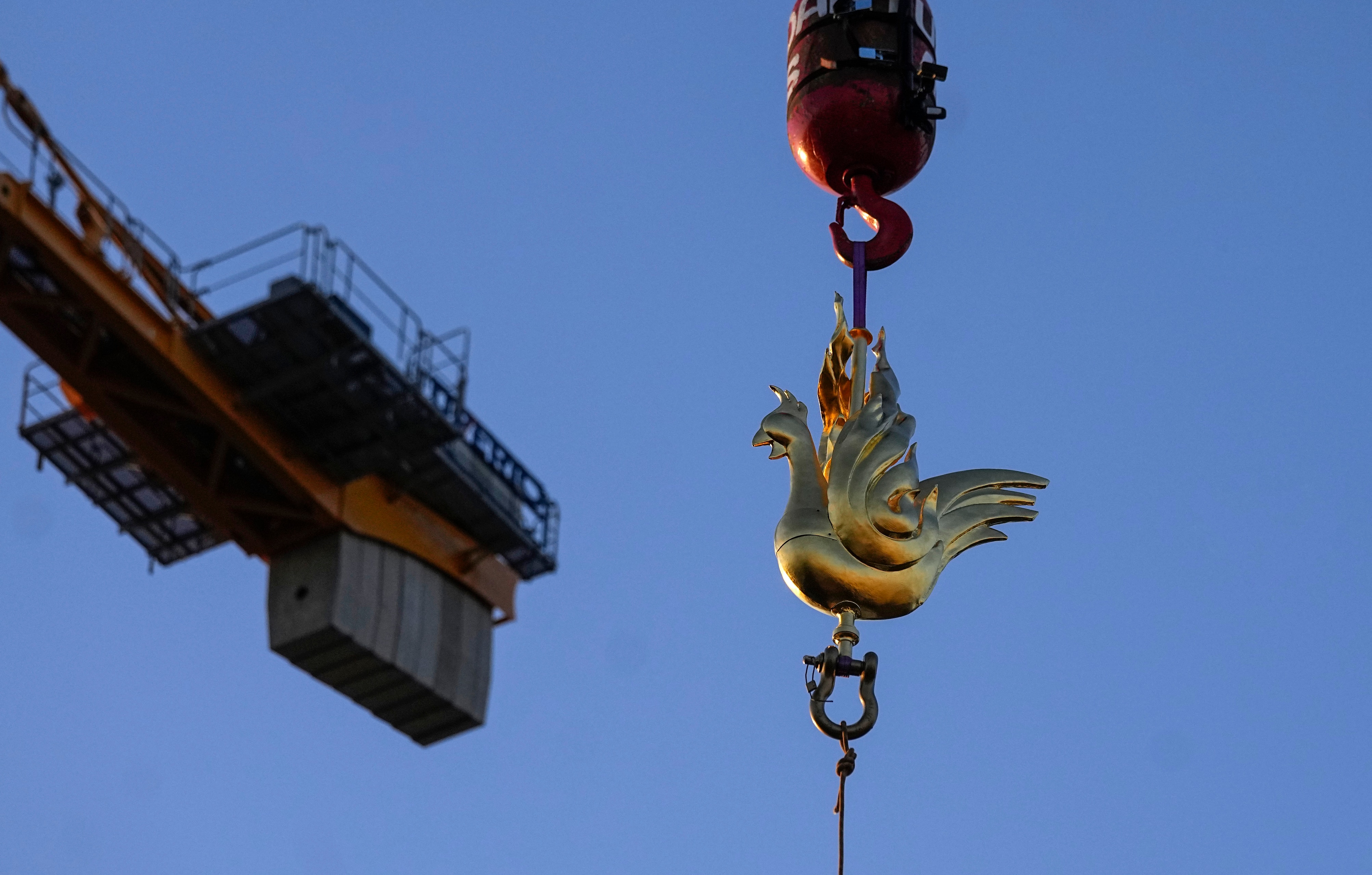 New golden rooster sculpture installed on Notre Dame cathedral as ...