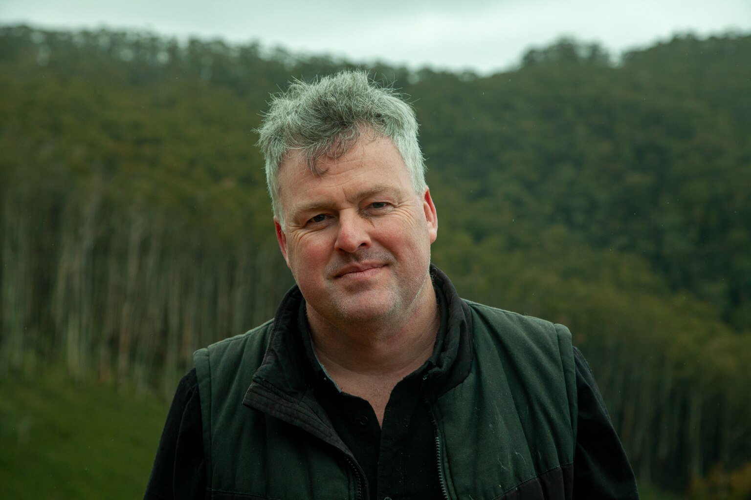 ‘Outlaw’ loggers VicForests and a regulator's 'charade' put drinking ...