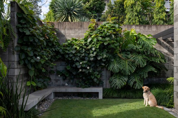 A brutalist building can be beautiful with the softened touch of sub ...