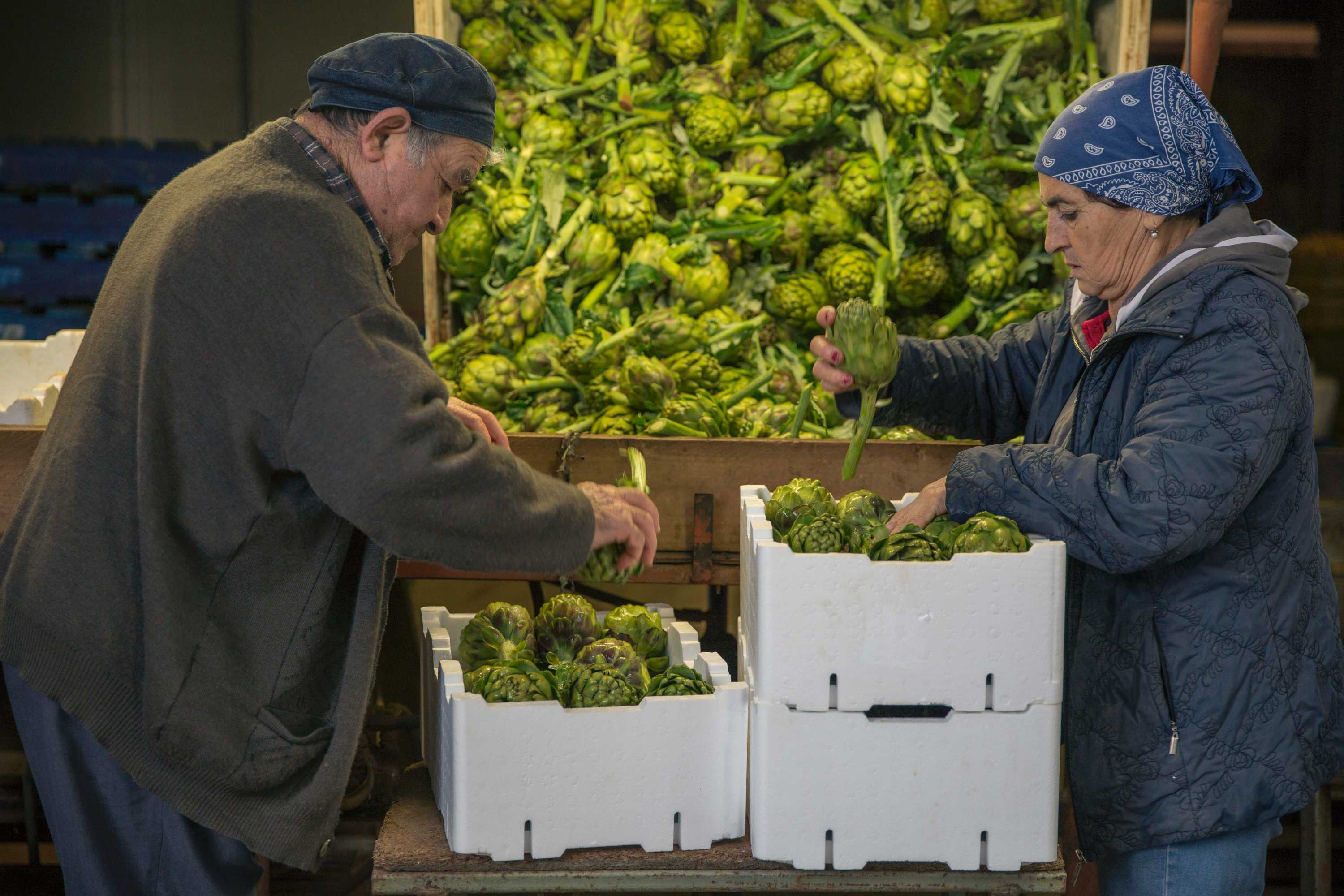 Farming on the fringe - ABC News