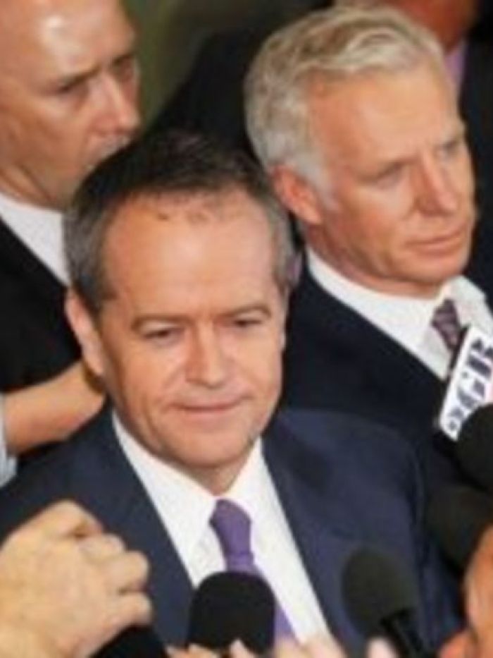 Shorten royal commission appearance fosters political tit for tat - ABC ...