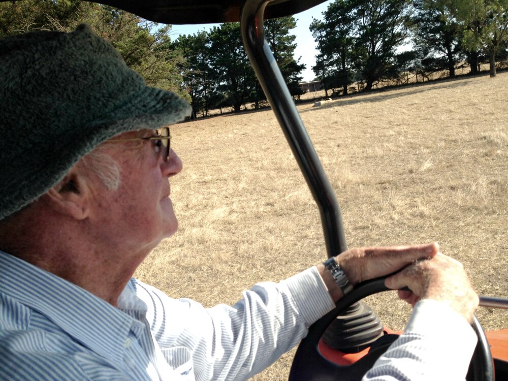 Wool grower notches up superfine half-century - ABC News