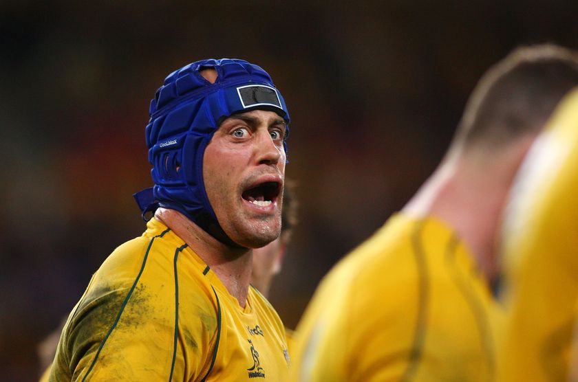 Wallabies bear their teeth - ABC News